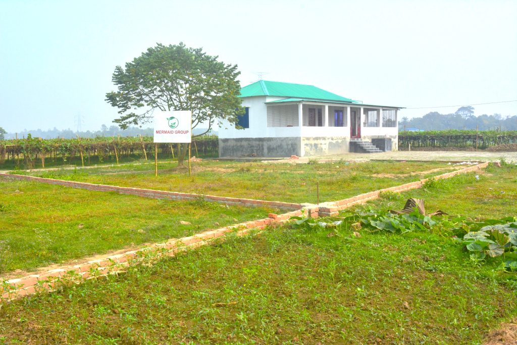 Mermaid Group | Green City